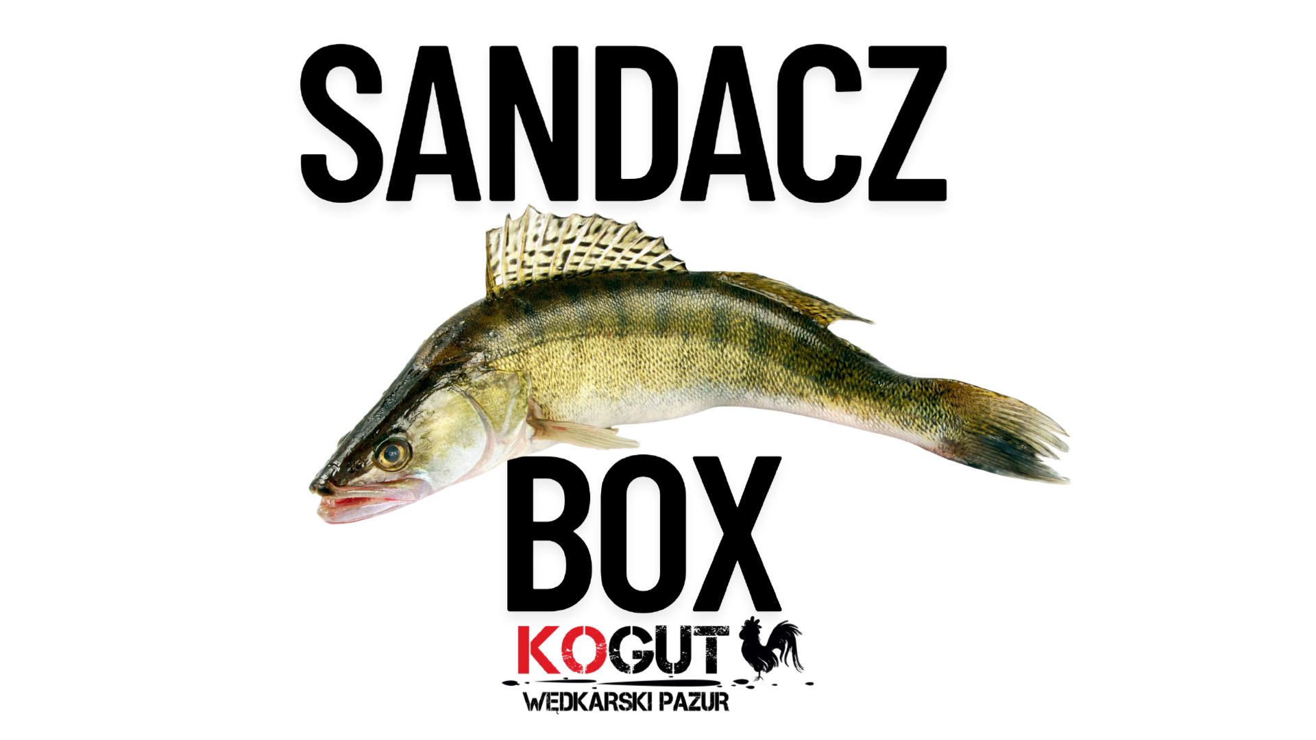 Sandacz Box – Kogut Wędkarski Pazur